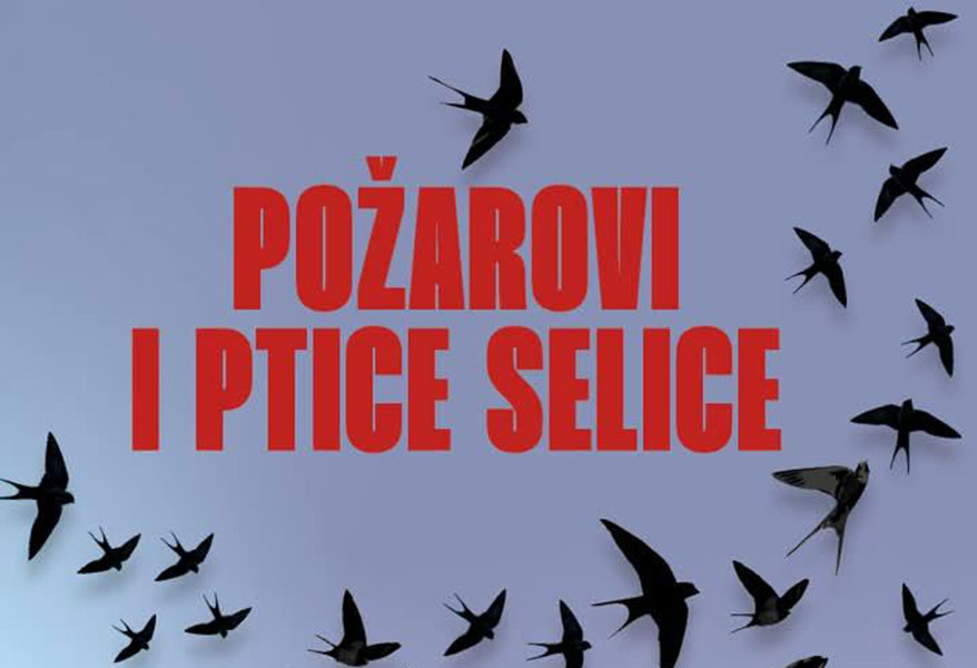 GRADSKA KNJIŽNICA METKOVIĆ Osvrt na roman Anđelke Korčulanić 'Požarovi i ptice selice ...